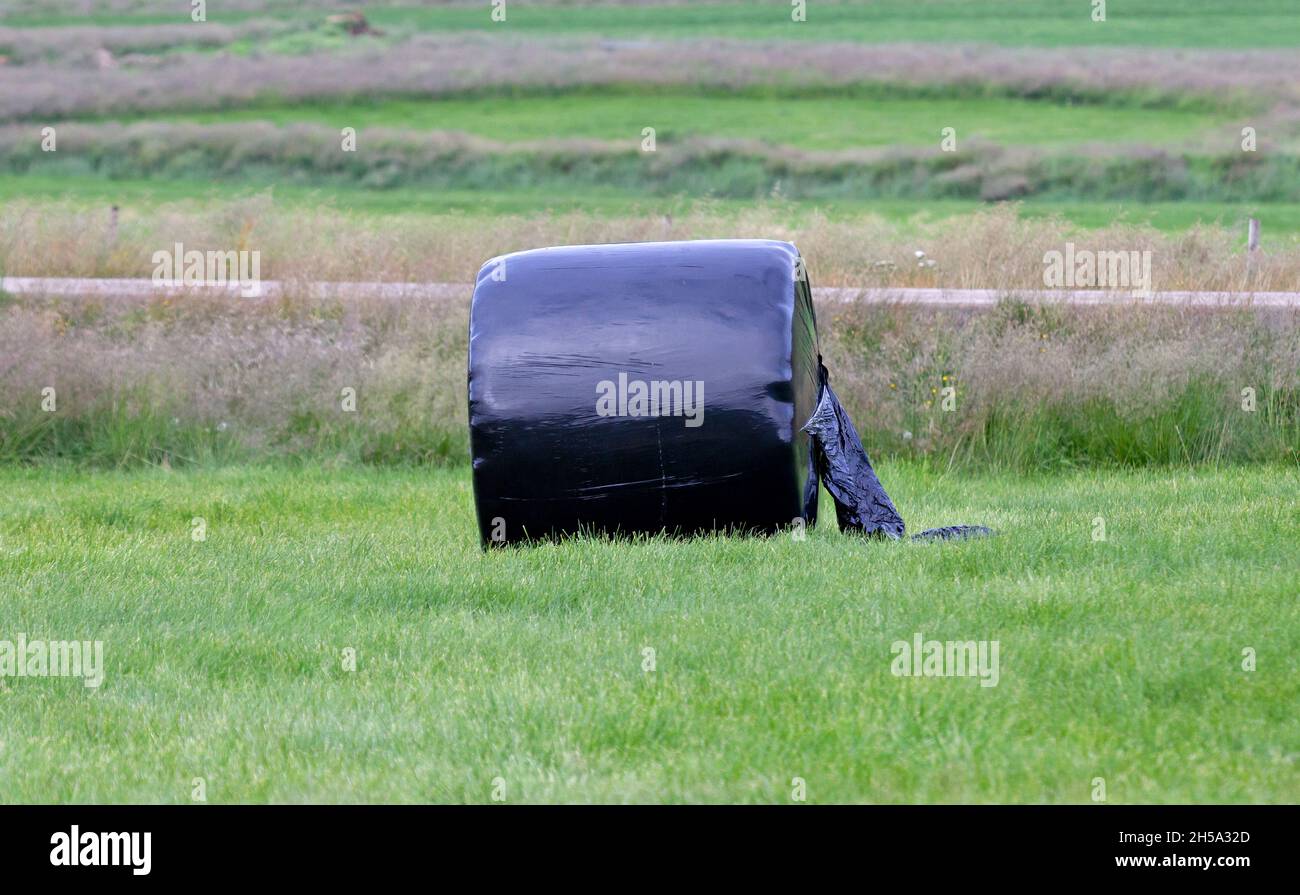 Bale bag hi-res stock photography and images - Alamy