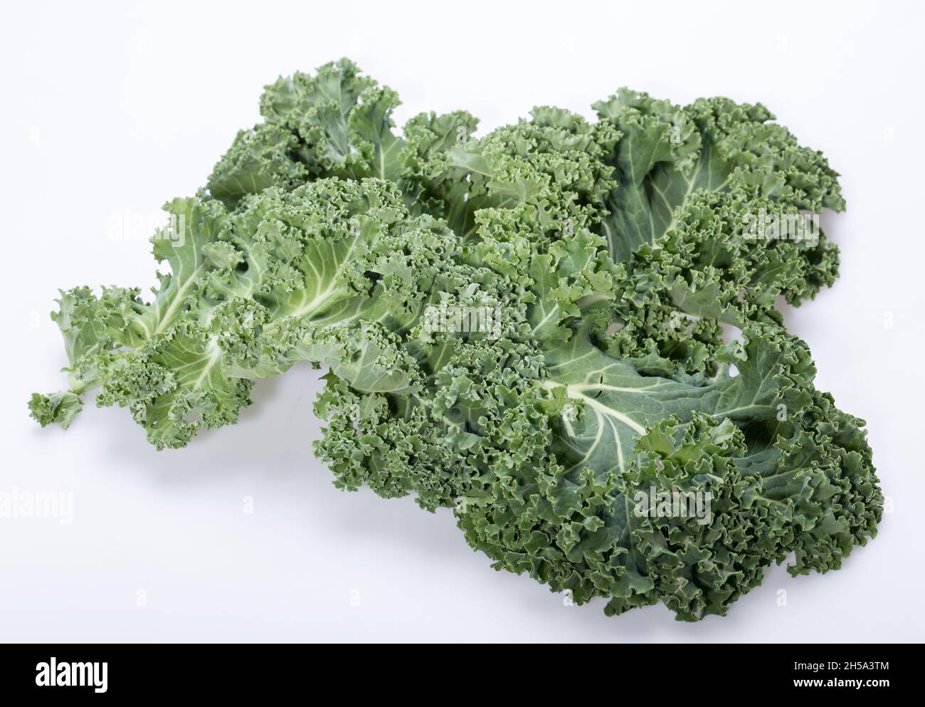 A healthy fresh curly kale Stock Photo - Alamy