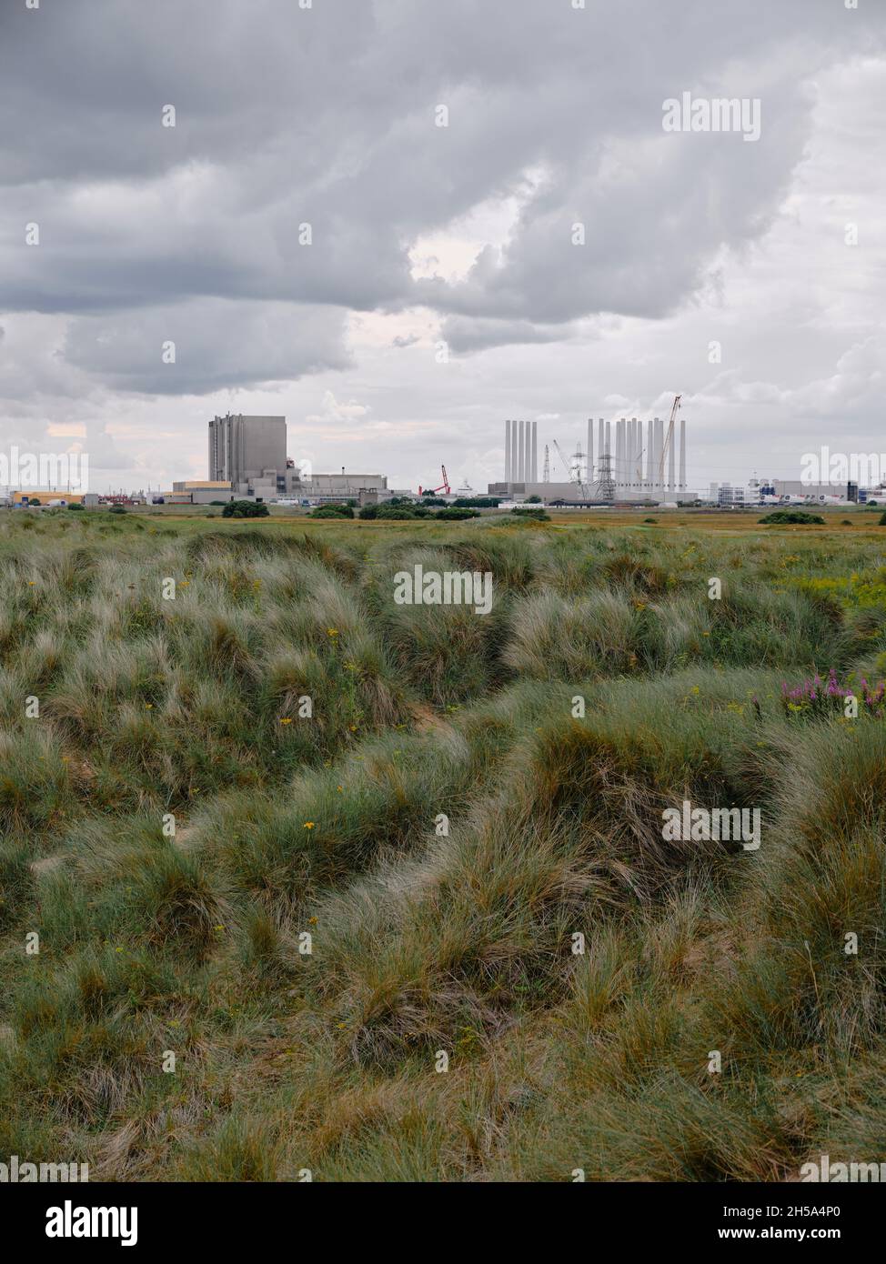 Tees Estuary a popular unique environment where heavy industry share ...