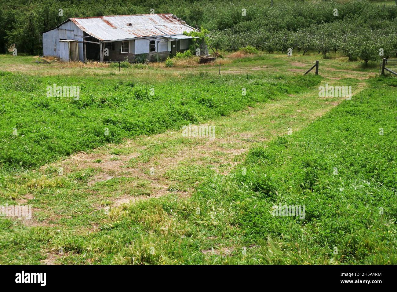 Australian Outback Shack High Resolution Stock Photography and Images ...