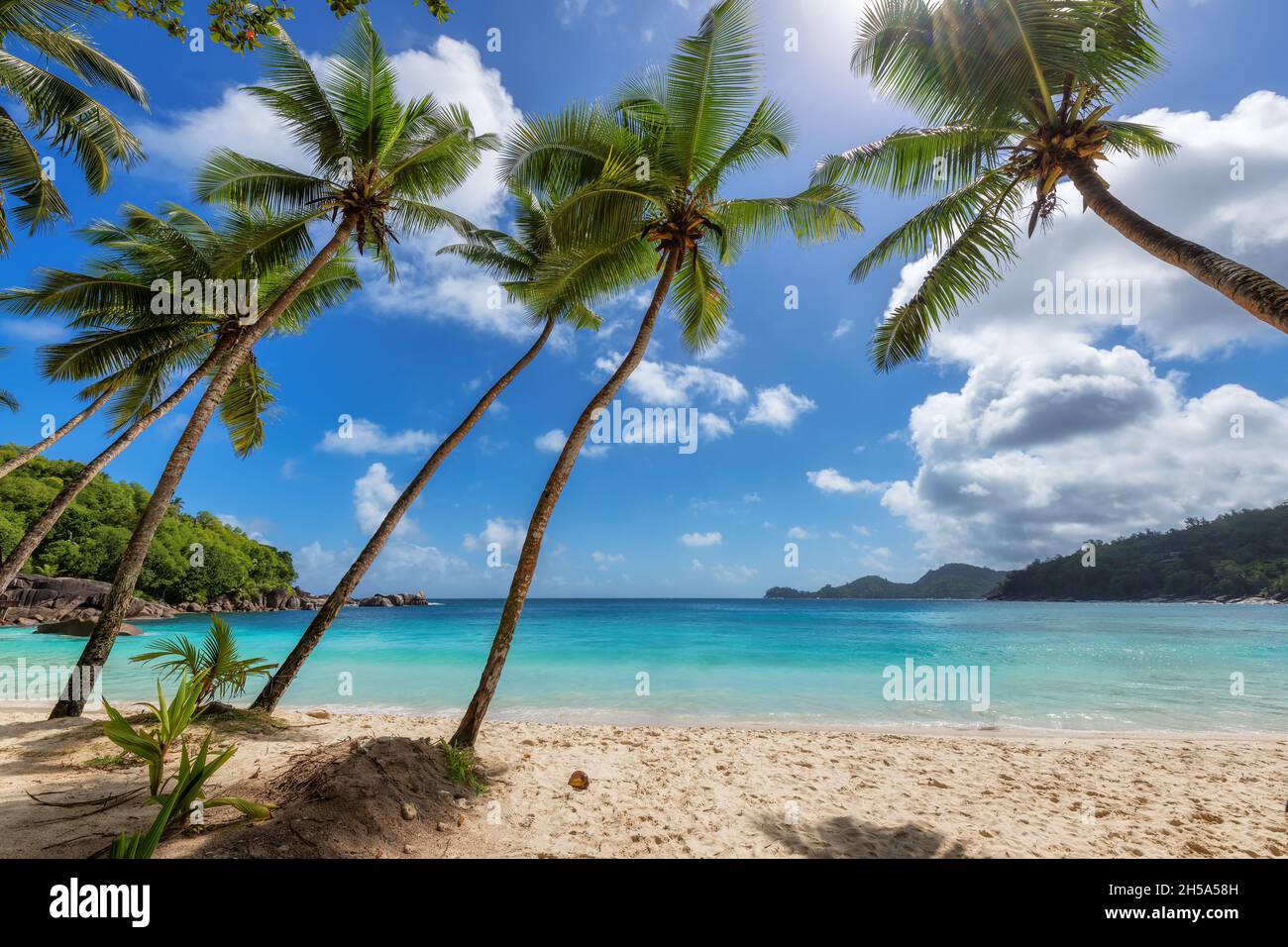 Coco palms resort hi-res stock photography and images - Alamy