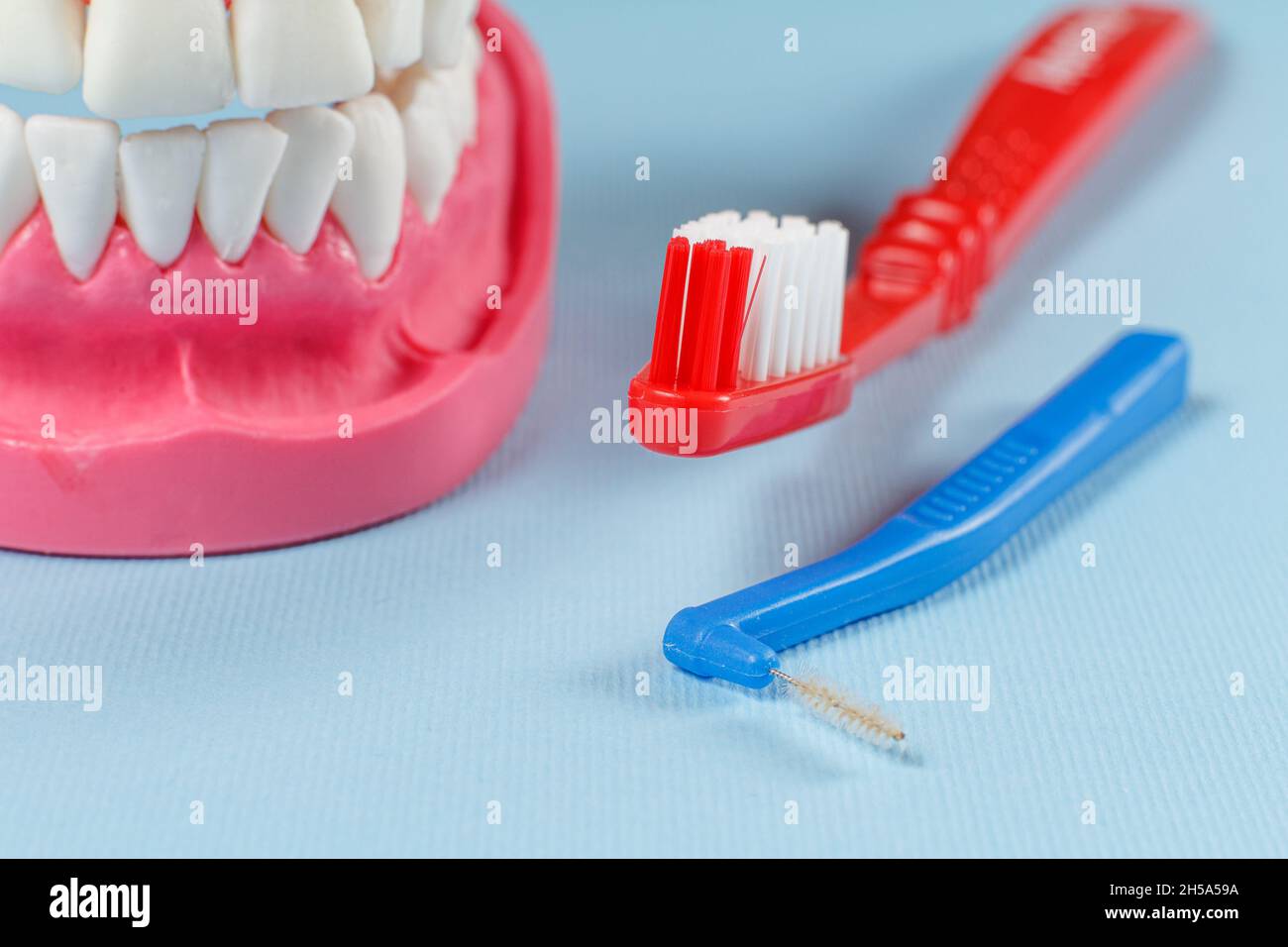 Close-up view of a toothbrush, an interdental brush and a human jaw ...