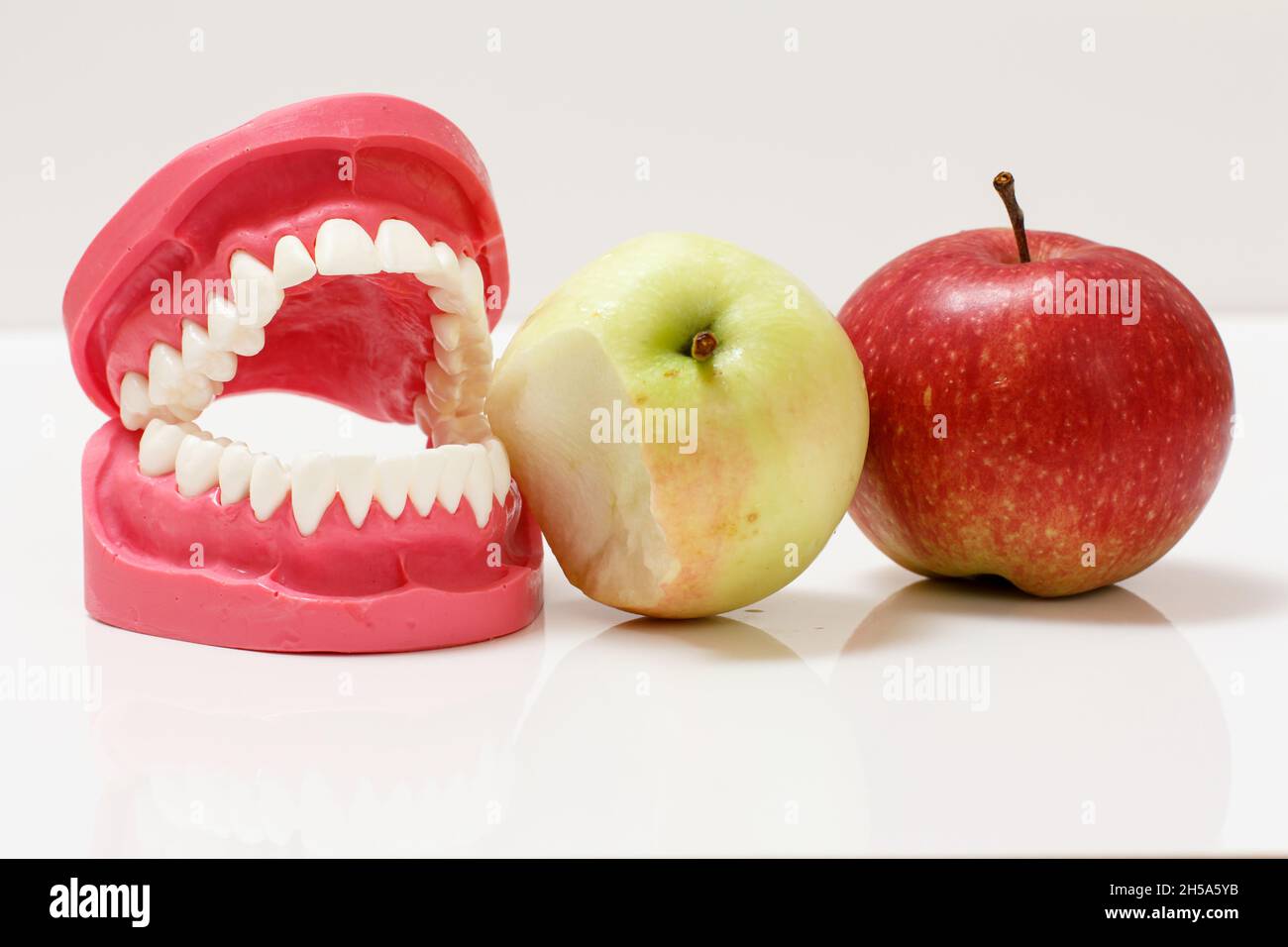 Layout of the human jaw with a bitten apple and a whole one on the ...