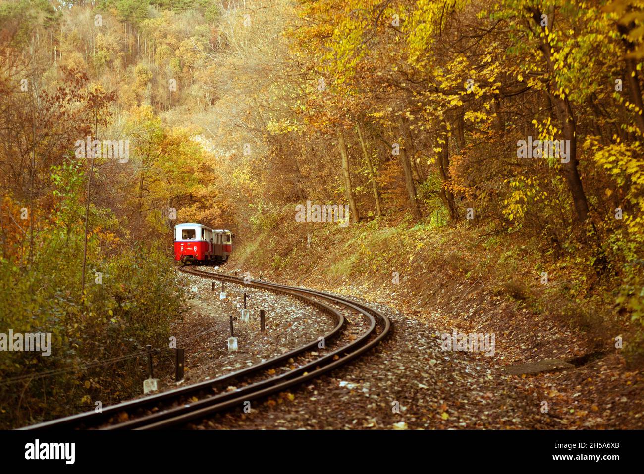 Budapest Children's Railway (Gyermekvasút Stock Photo - Alamy