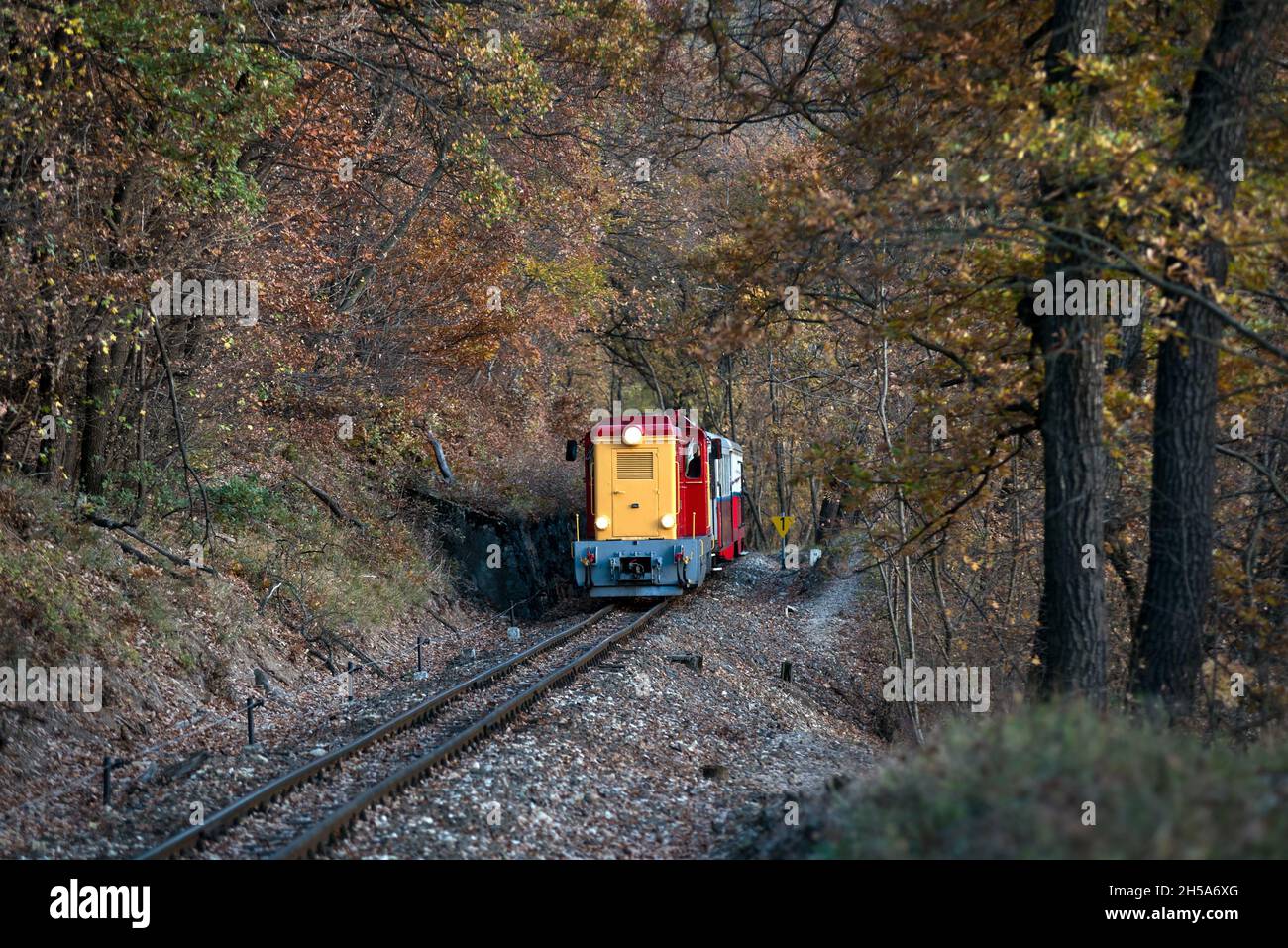 Budapest Children's Railway (Gyermekvasút) train in the forest Stock ...