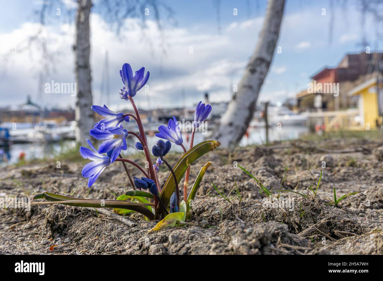 Stockholm in early spring hi-res stock photography and images - Alamy
