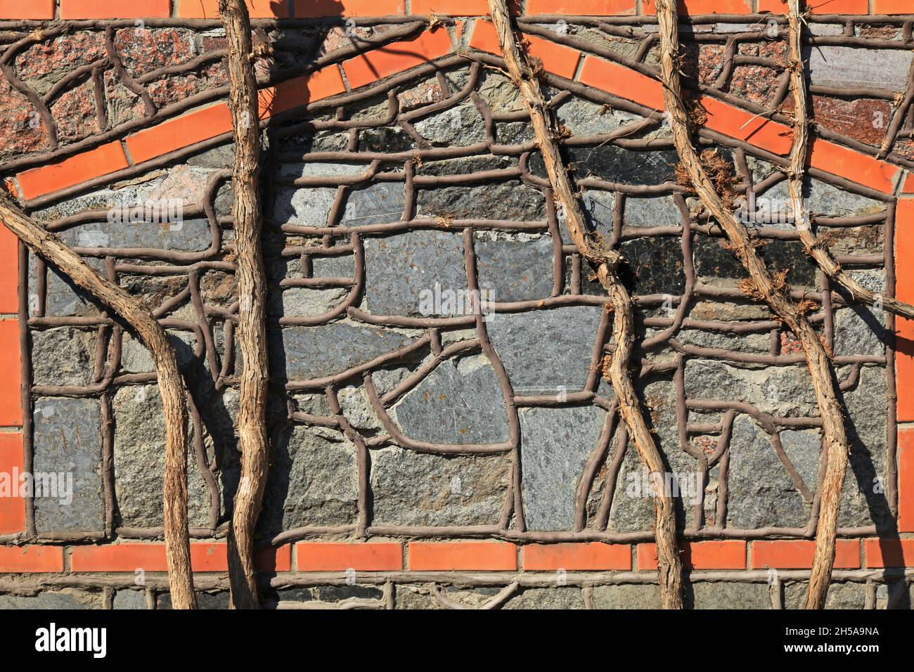 Stone wall, texture, background. Grapevine on the background of a ...