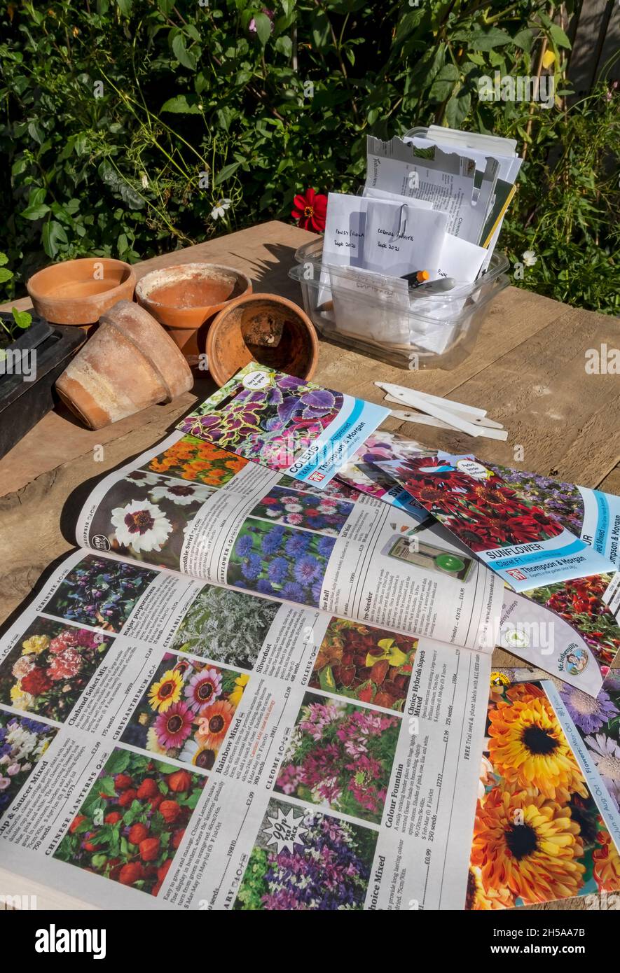 Seed to plant hi-res stock photography and images - Alamy