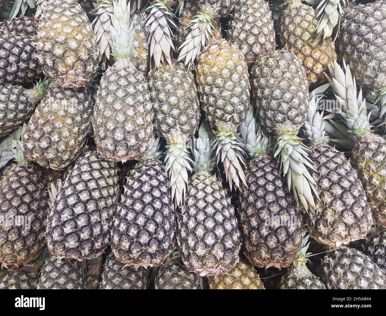 Hawaiian pineapple, background and texture. Full screen Stock Photo - Alamy