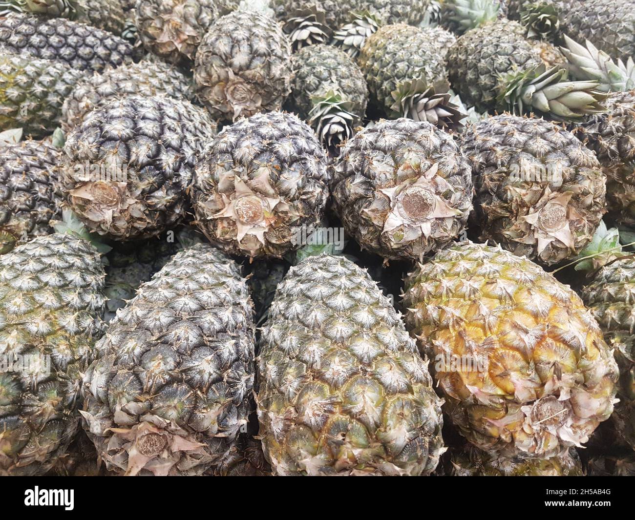 Hawaiian pineapple, background and texture. Full screen Stock Photo - Alamy