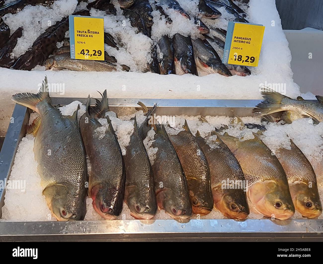 Raw fish on ice, various types, chopped at the fish market in a market ...
