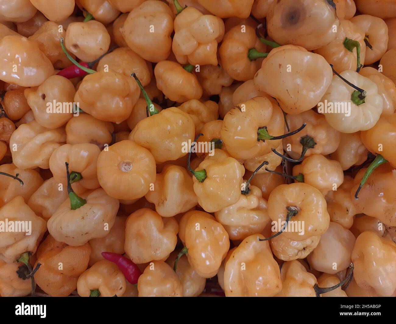 Yellow peppers in a market, top view Stock Photo - Alamy