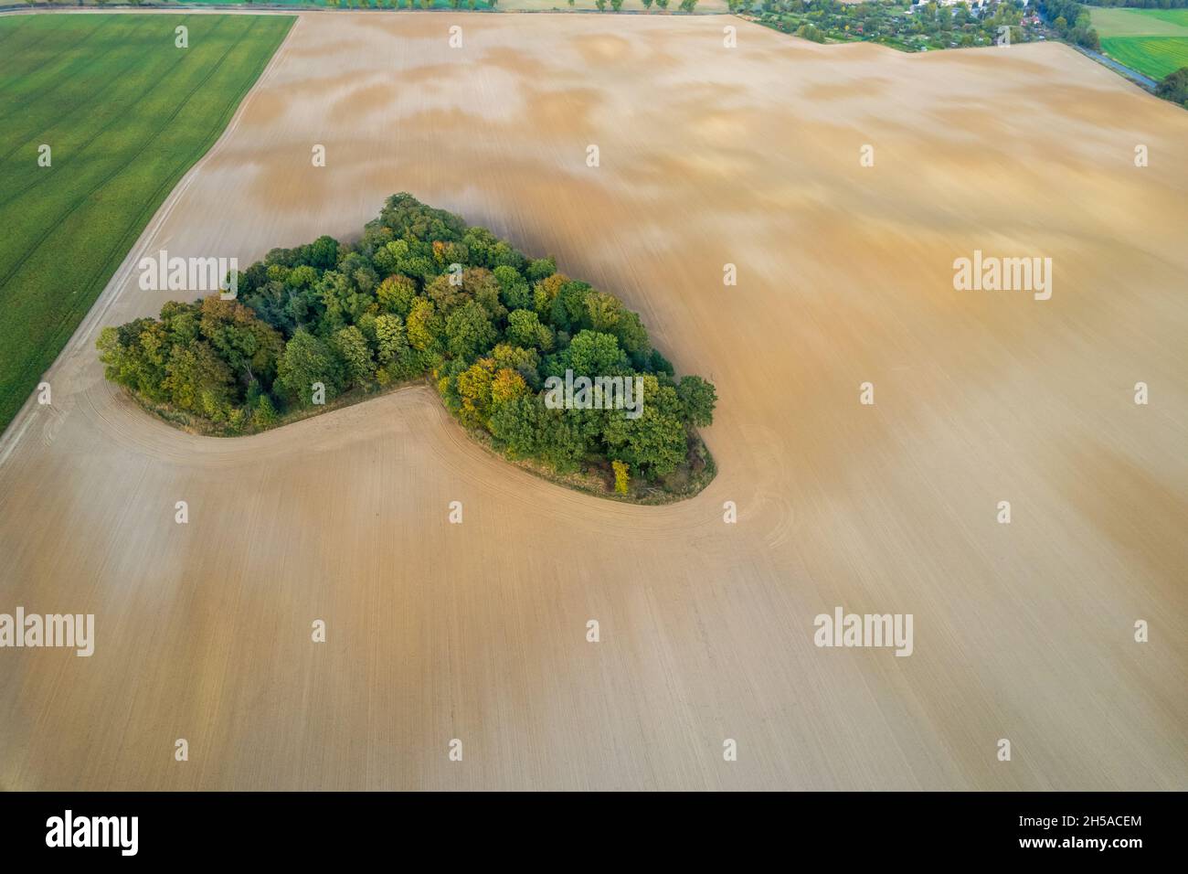 Copse in heart hi-res stock photography and images - Alamy