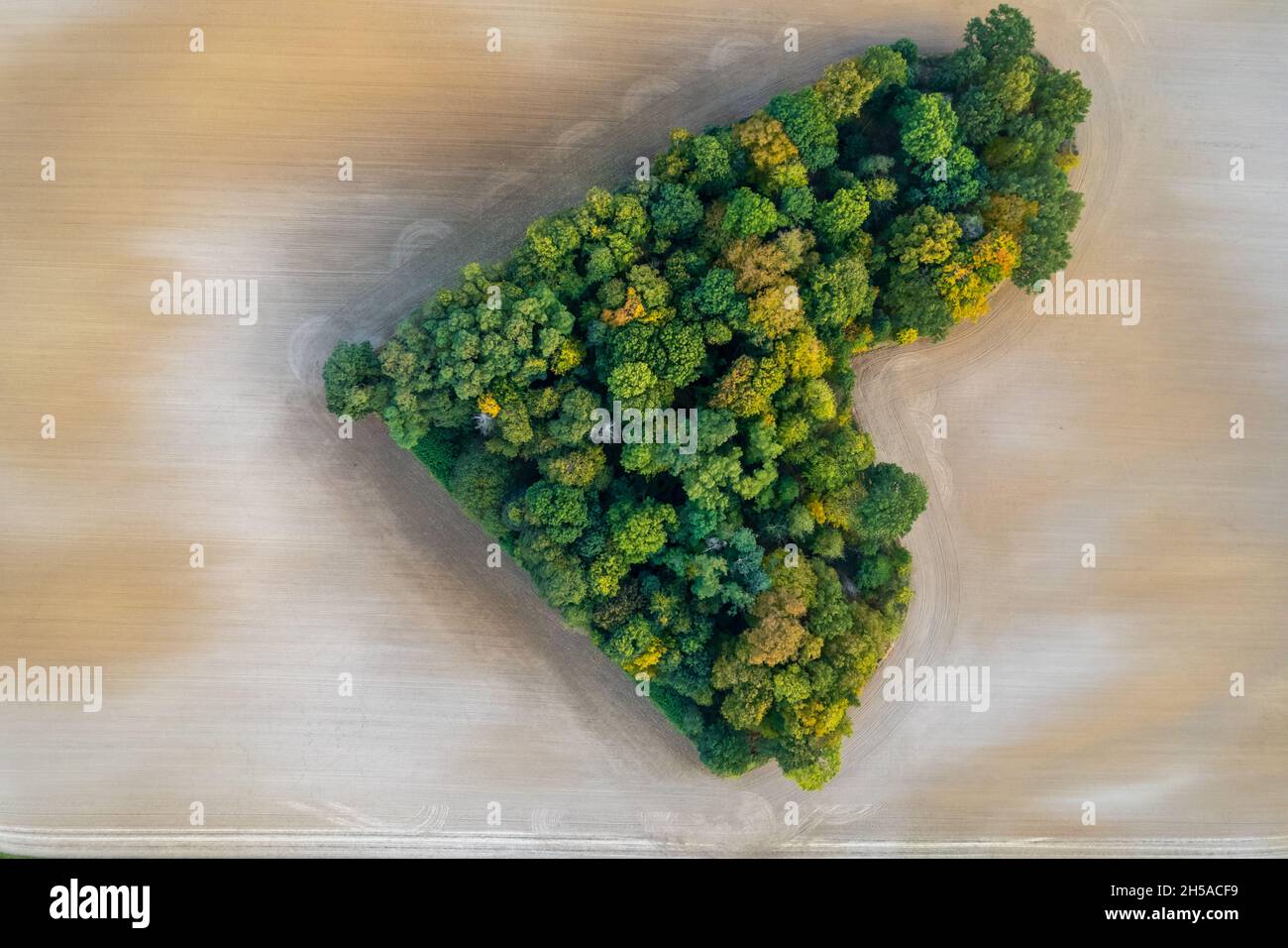 In the middle of the heart heart hi-res stock photography and images ...