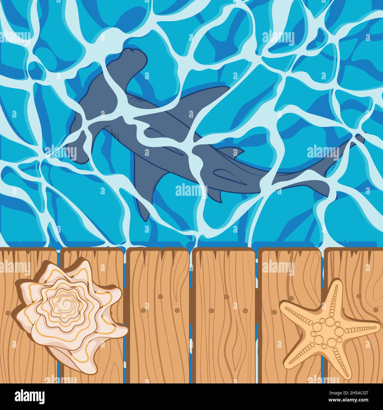 Marine color background with a shark hammer, shell and starfish. Summer ...