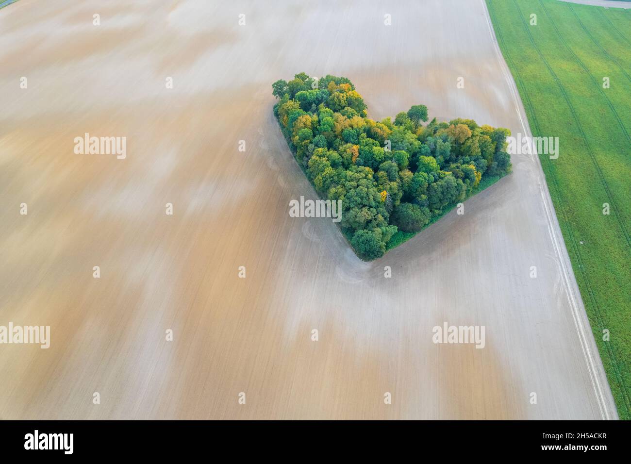 Copse in heart hi-res stock photography and images - Alamy
