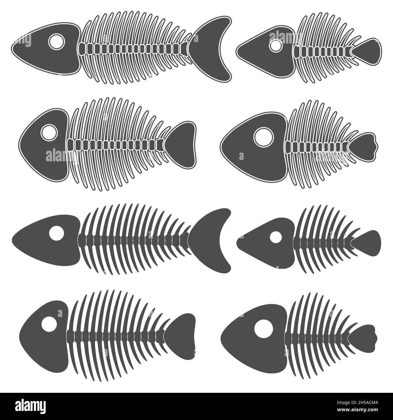 Fish bone isolated on white background Black and White Stock Photos ...