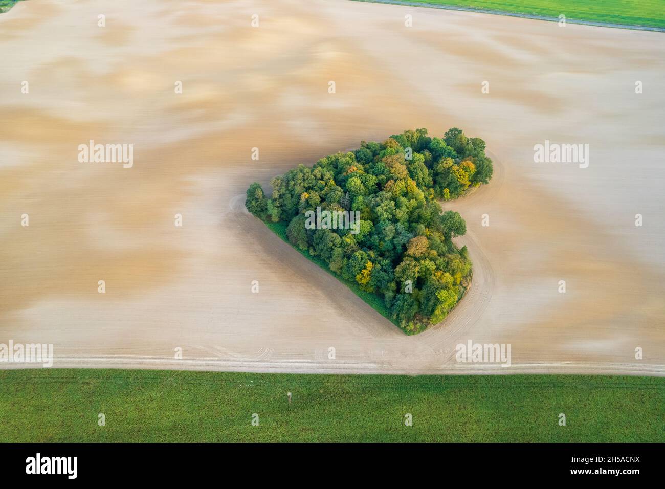 Copse in heart hi-res stock photography and images - Alamy