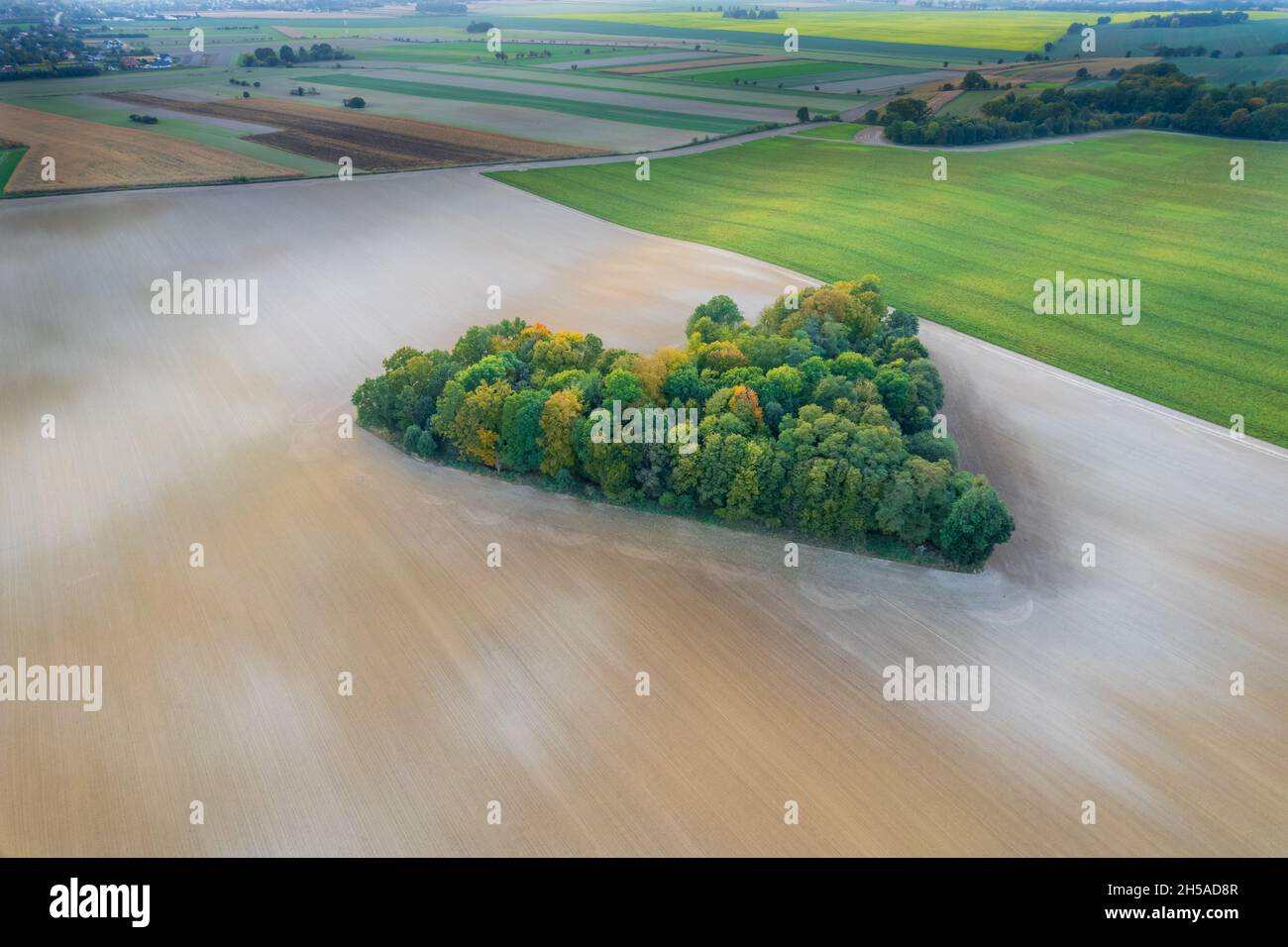 Copse in heart shape hi-res stock photography and images - Alamy