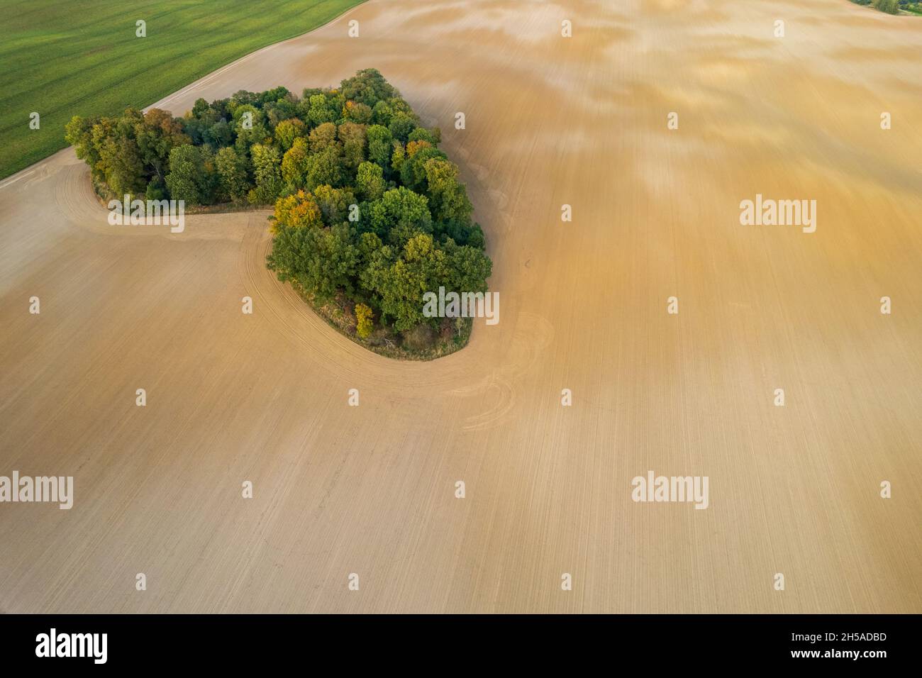 Heart shape copse in the middle of field Stock Photo - Alamy