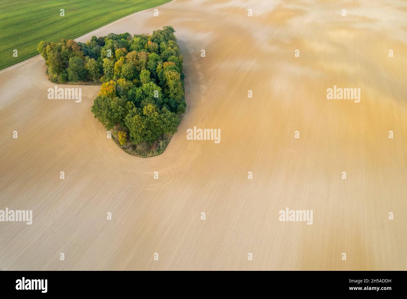 Copse in heart shape hi-res stock photography and images - Alamy