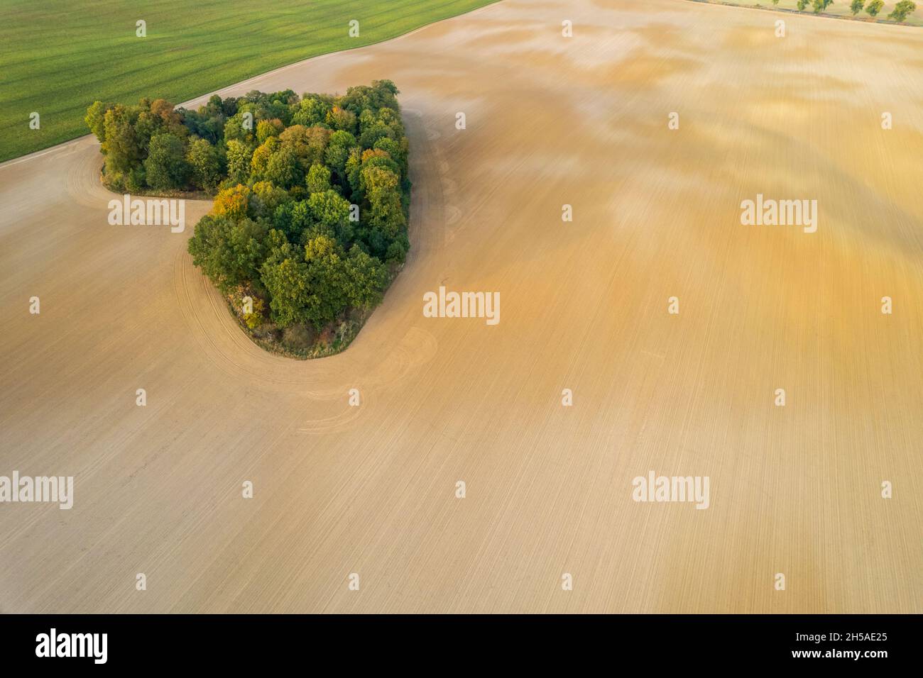 Copse in heart hi-res stock photography and images - Alamy