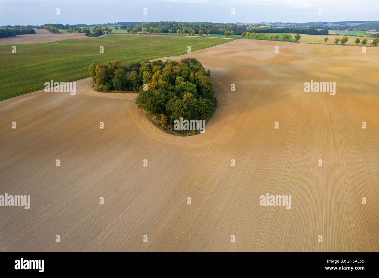 Copse in heart hi-res stock photography and images - Alamy