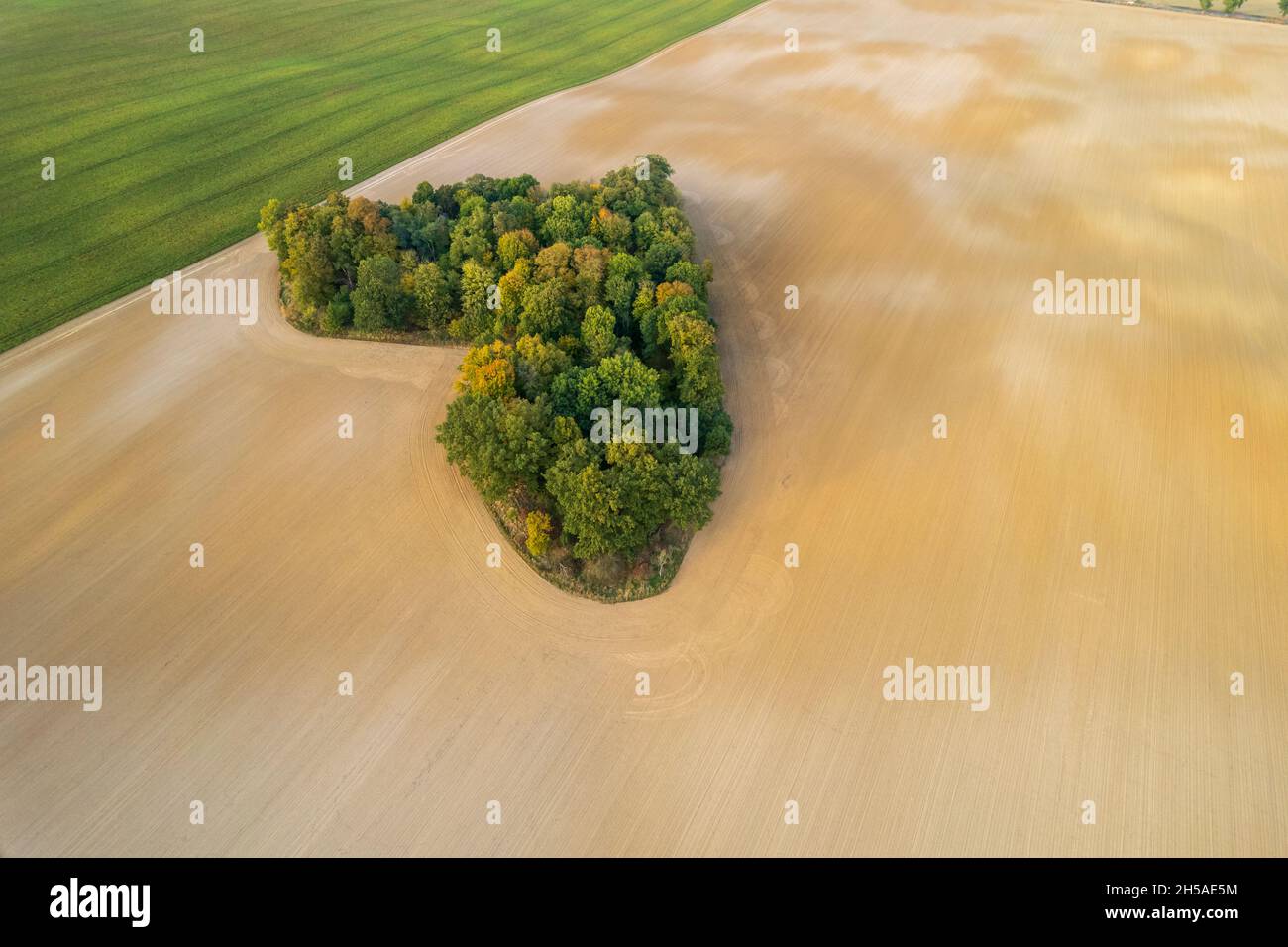 Copse in heart shape hi-res stock photography and images - Alamy