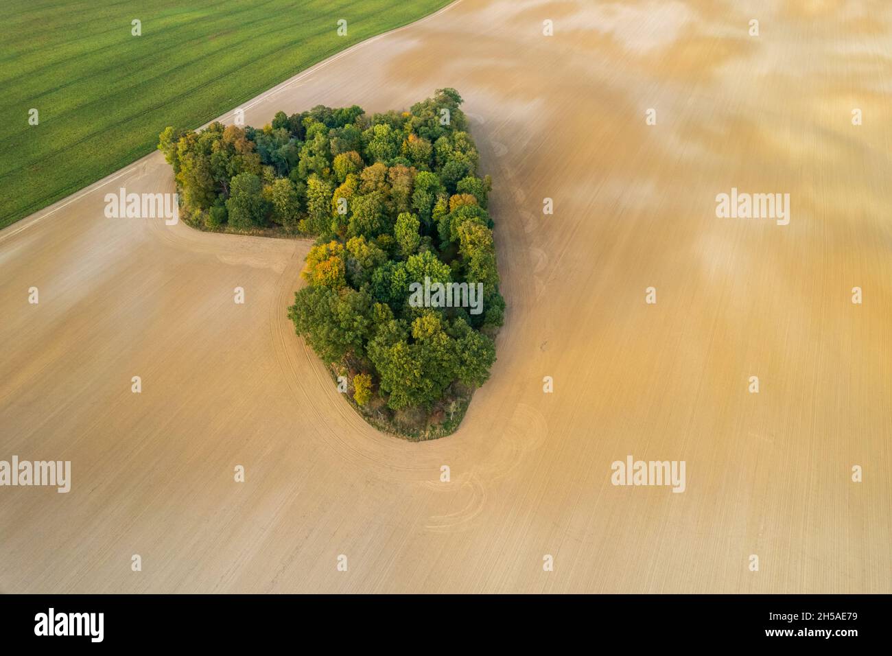 In the middle of the heart heart hi-res stock photography and images ...