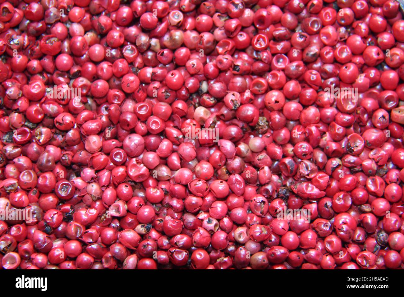 Pink pepper : Aroeira-red, aroeira-pimenteira or poivre-rose names of ...