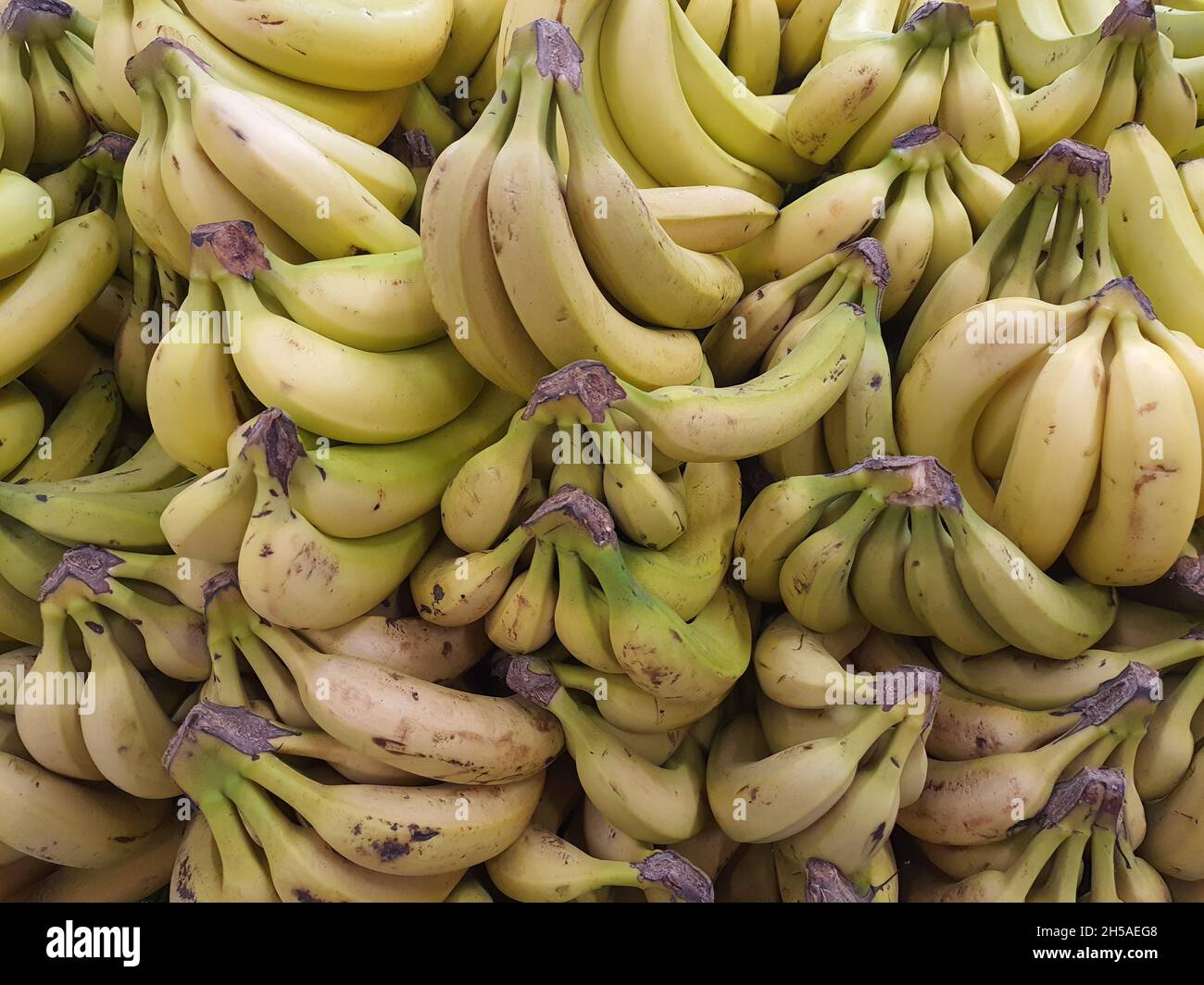 Bananas, many bunches of bananas in a market, full screen Stock Photo ...