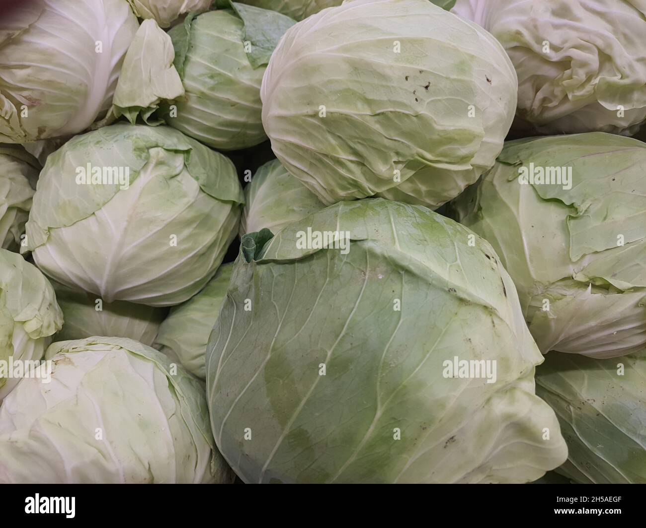 Cabbage, a lot of cabbages piled up in a market, full screen Stock ...