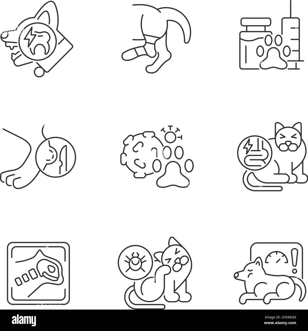 Pet physical injuries linear icons set Stock Vector Image & Art - Alamy