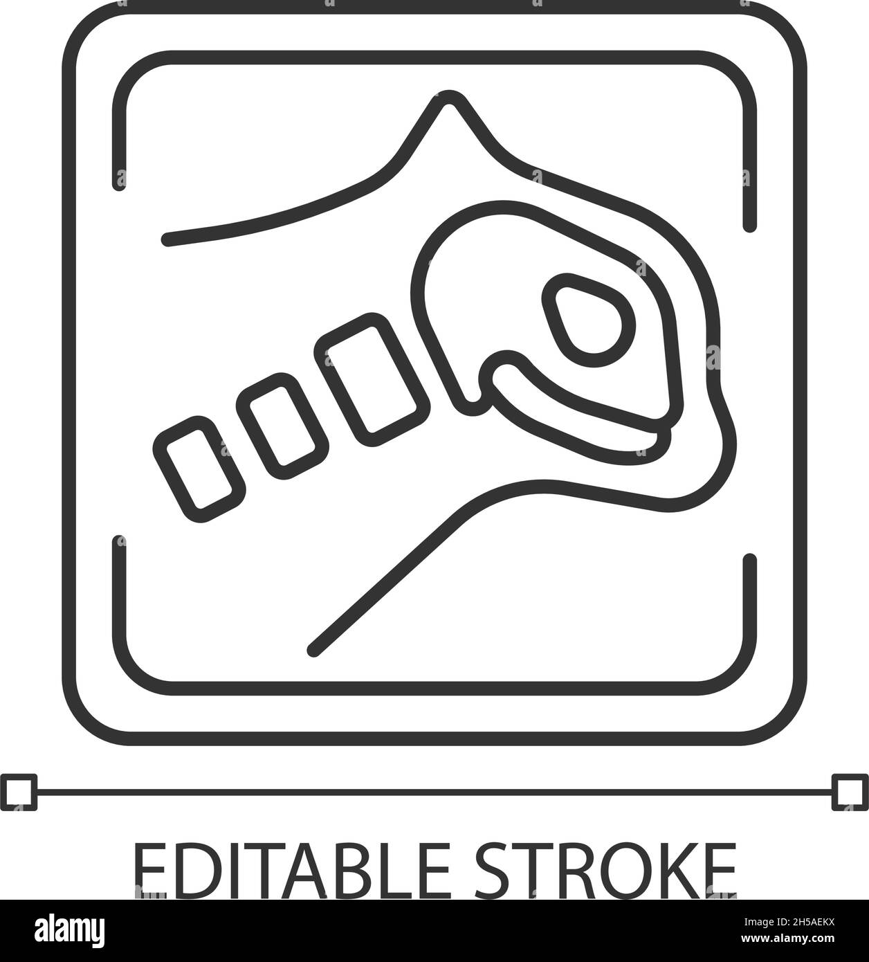 Pet x rays linear icon Stock Vector Image & Art - Alamy