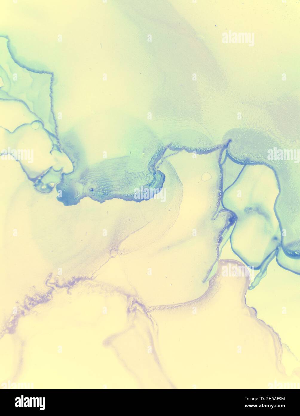 Wedding Card Design. Yellow Pastel Flow Splash Stock Photo - Alamy