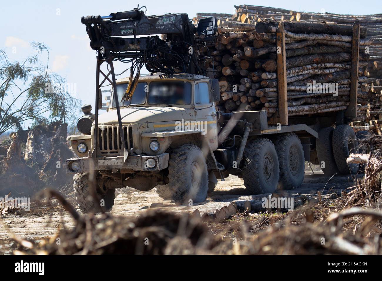 Forest industry. Operations for loading-unloading logging truck at ...