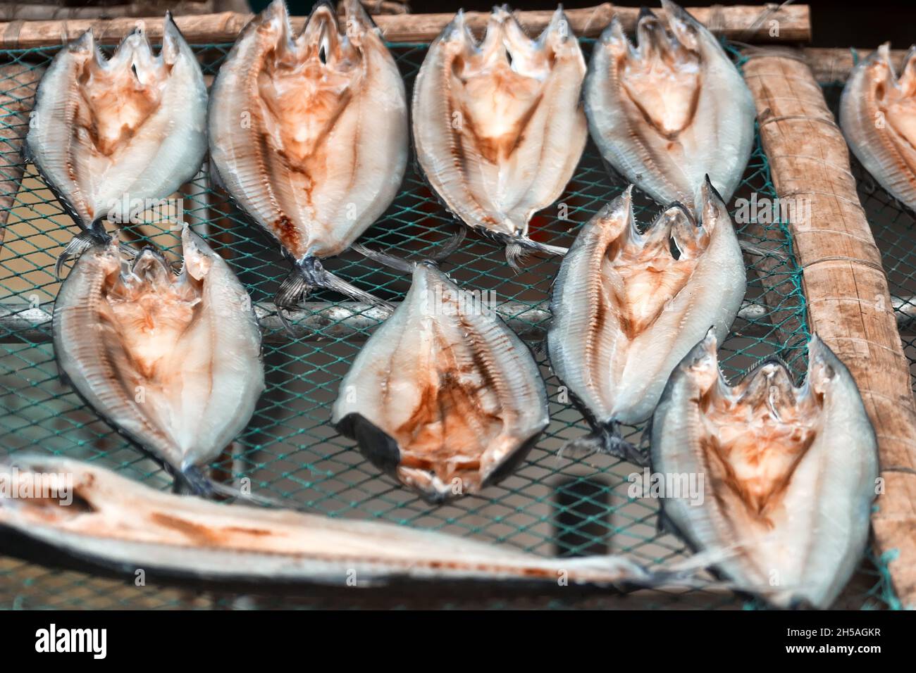 Scomber, mackerel. Sliced sea fish (splitting of fish ) wilts in the ...