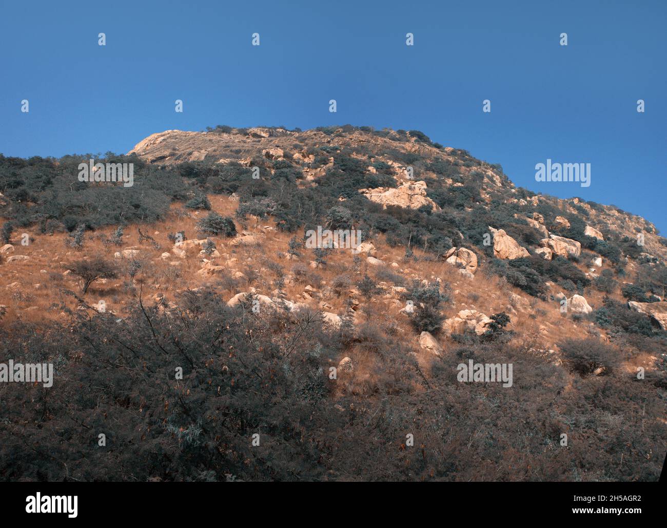 Dry hills and fields in the area of the Deccan plateau, India Stock ...