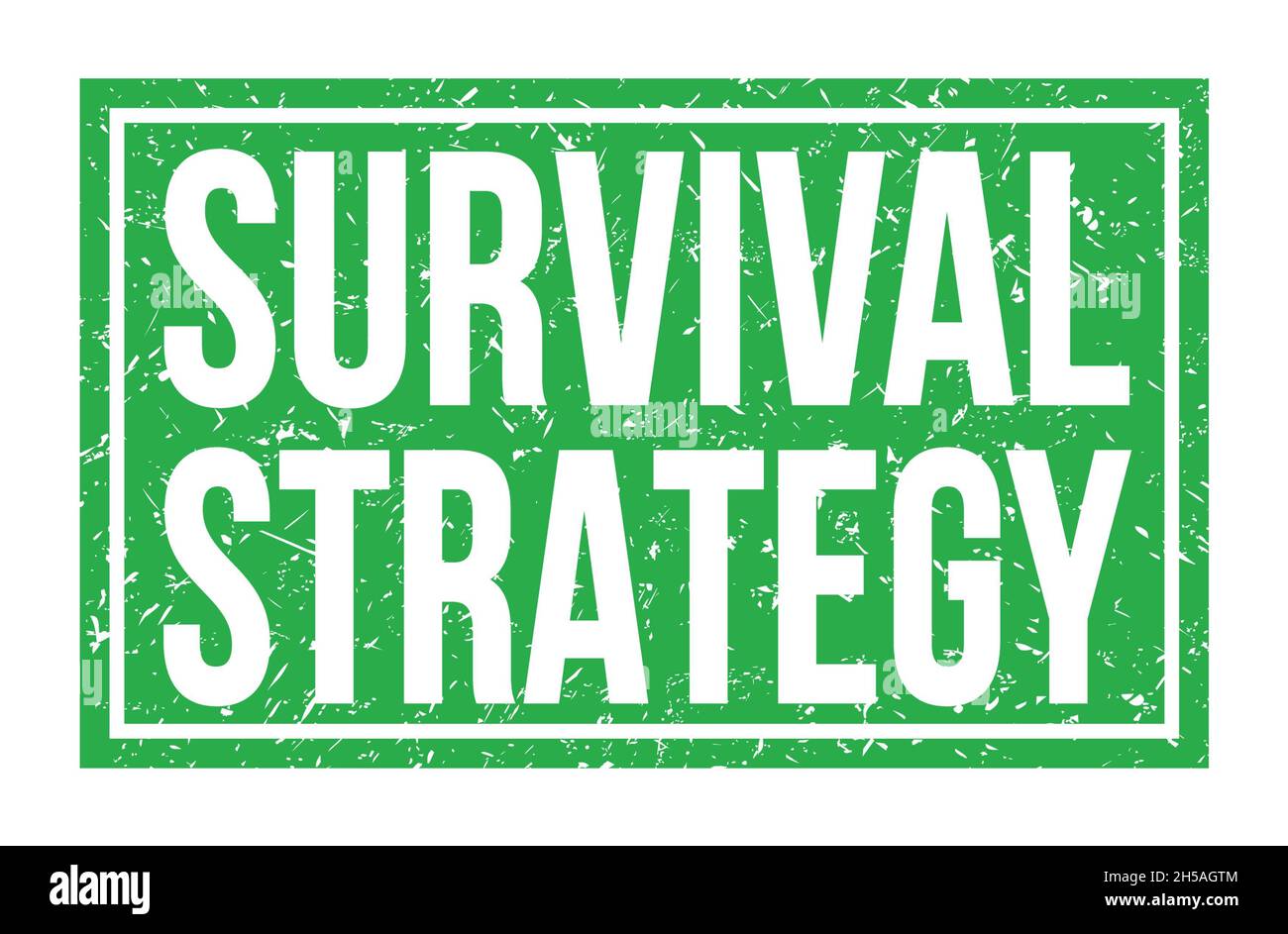 SURVIVAL STRATEGY, words written on green rectangle stamp sign Stock ...