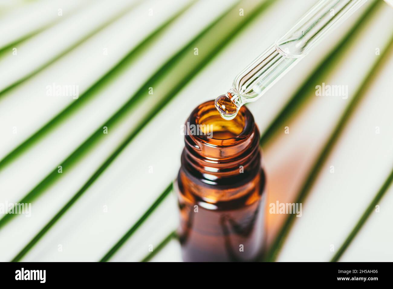 Essential oil drop from pipette in bottle near green palm leaf, close ...