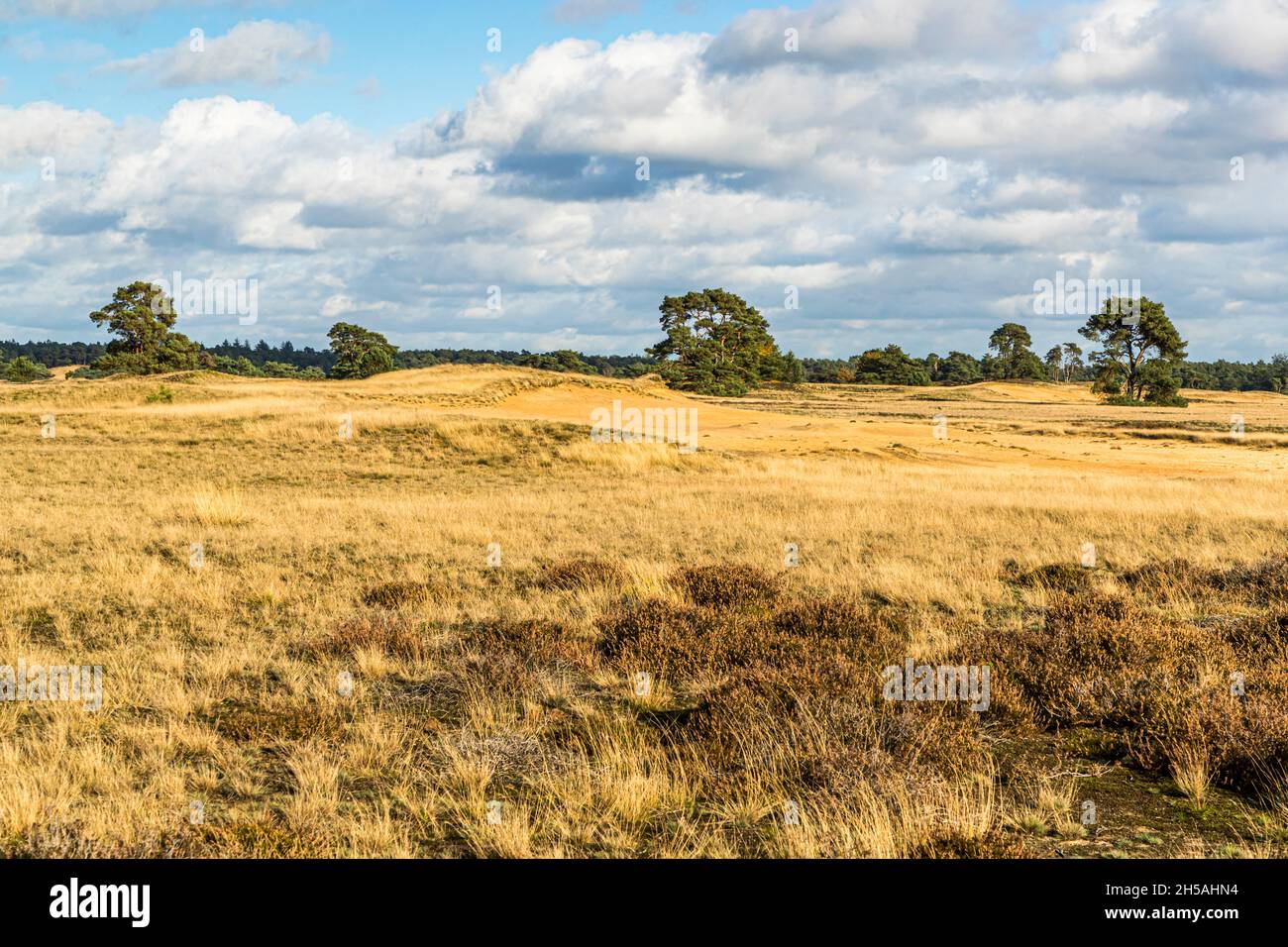 In the Hoge Veluwe National Park: endless expanses and smart bike paths ...