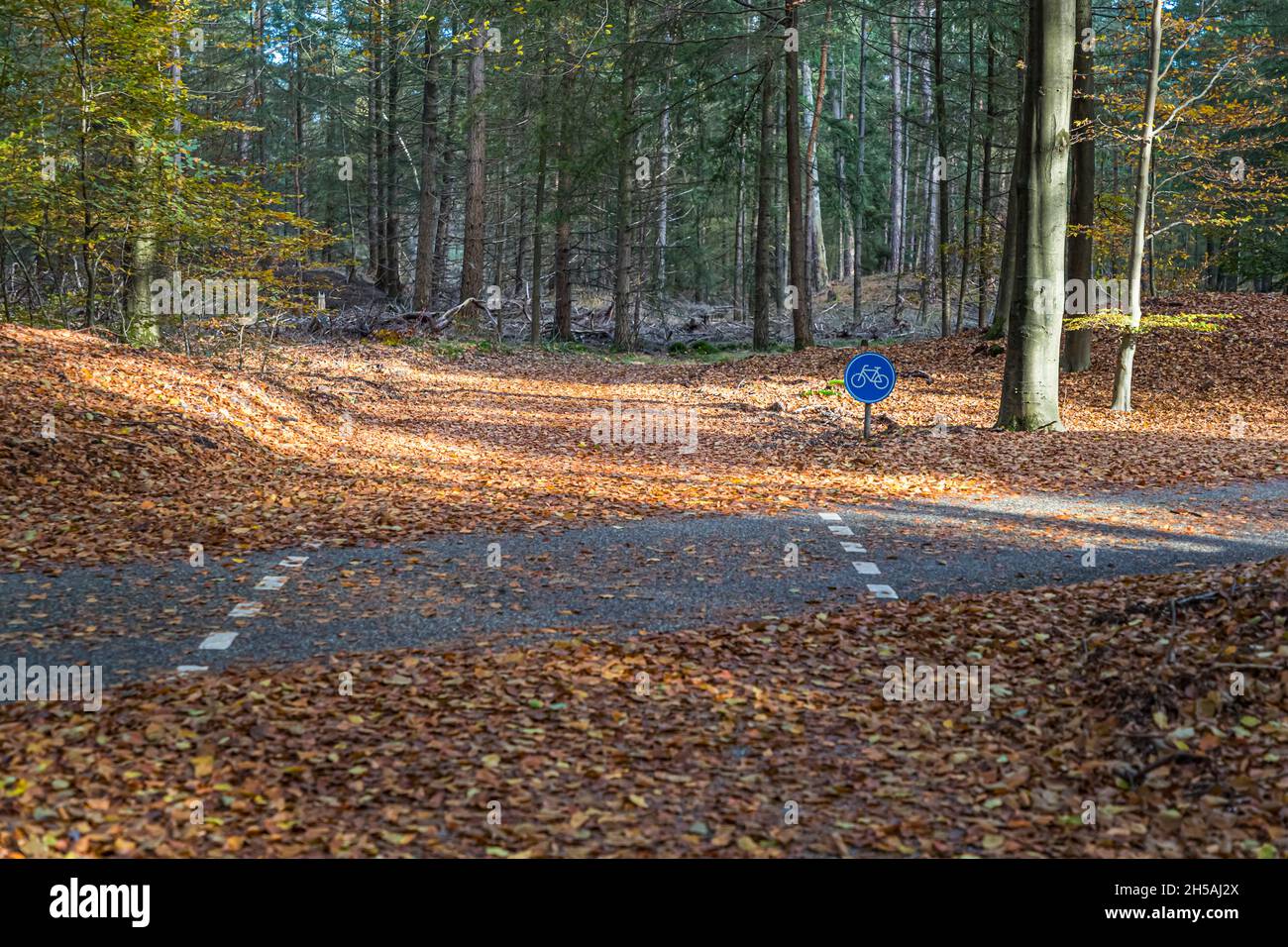 Ingang Park Hoge Veluwe Hoenderloo at Shirley Vining blog