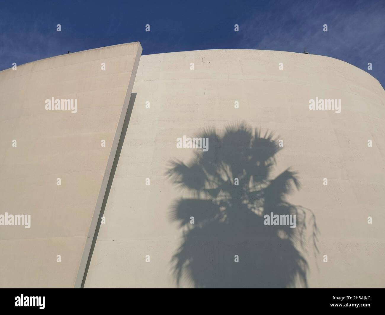 Shadowof a palm tree falling on a building Stock Photo - Alamy