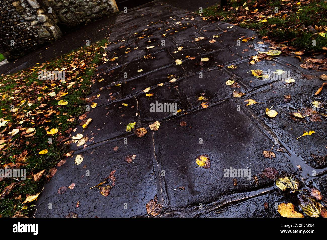A wet cobble path with yellow and brown leaves fallen from the trees ...