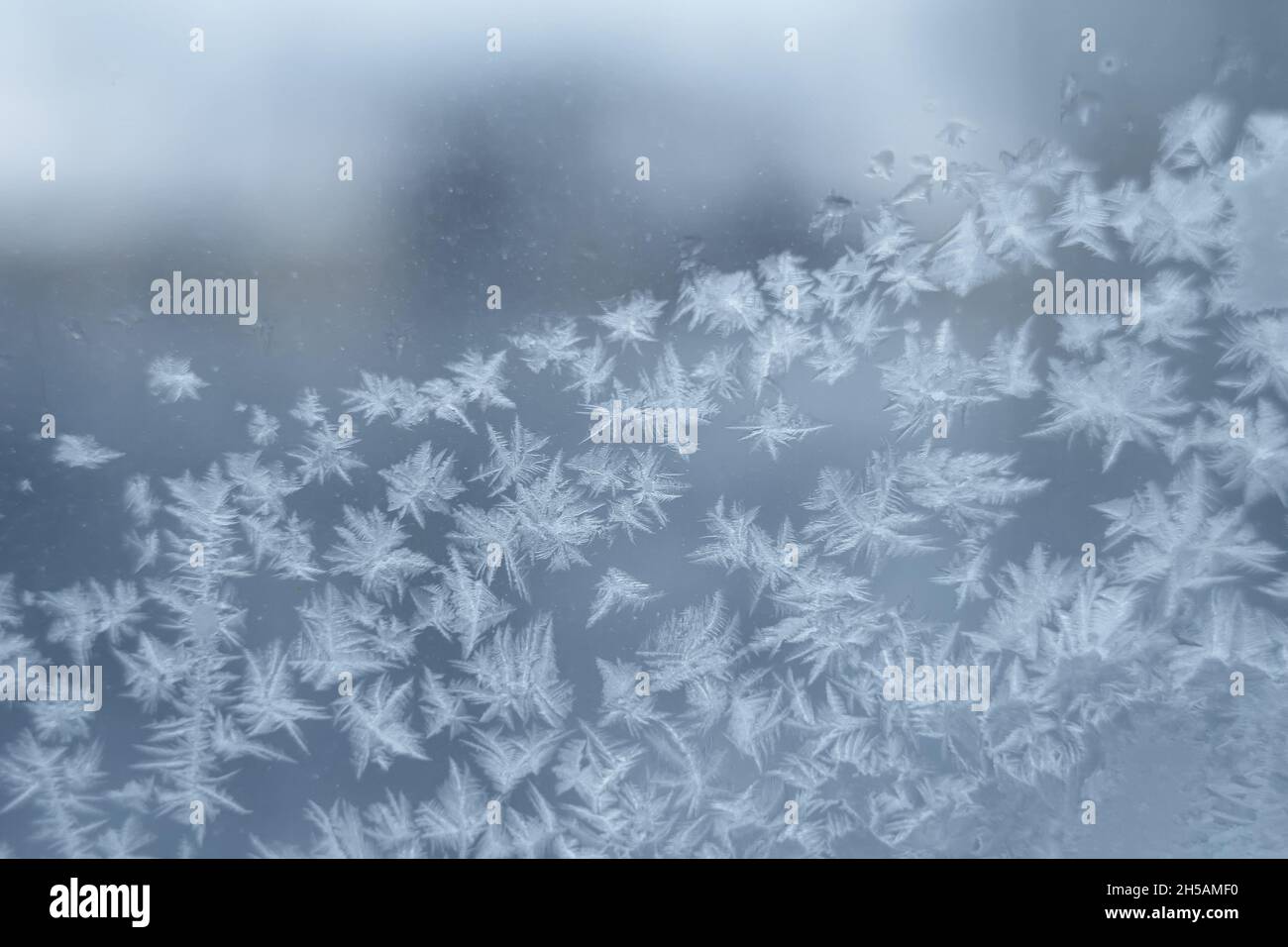 Ice flowers. Window frost. Winter time background. Frozen icy texture ...
