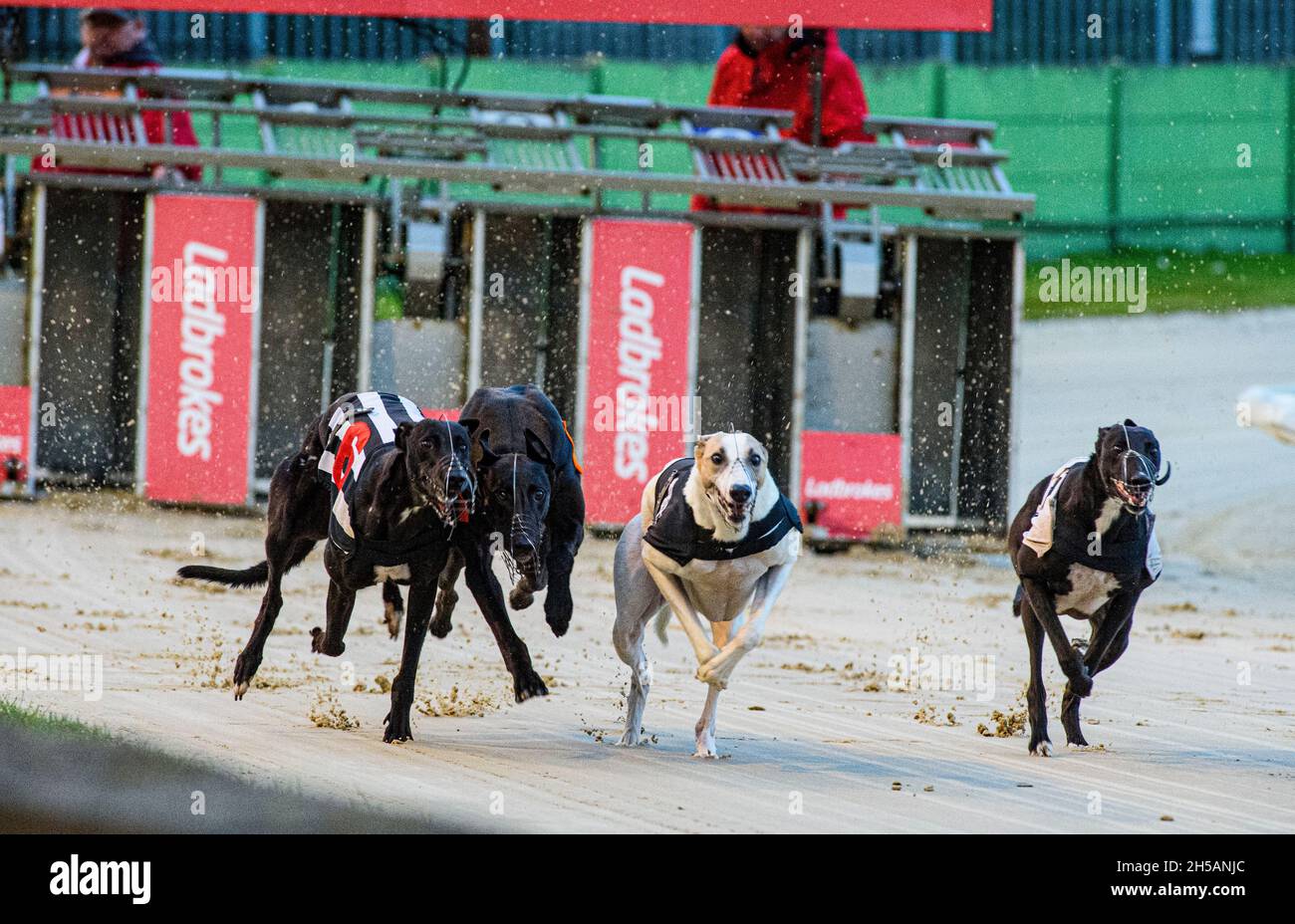 Wolverhampton races hi-res stock photography and images - Alamy