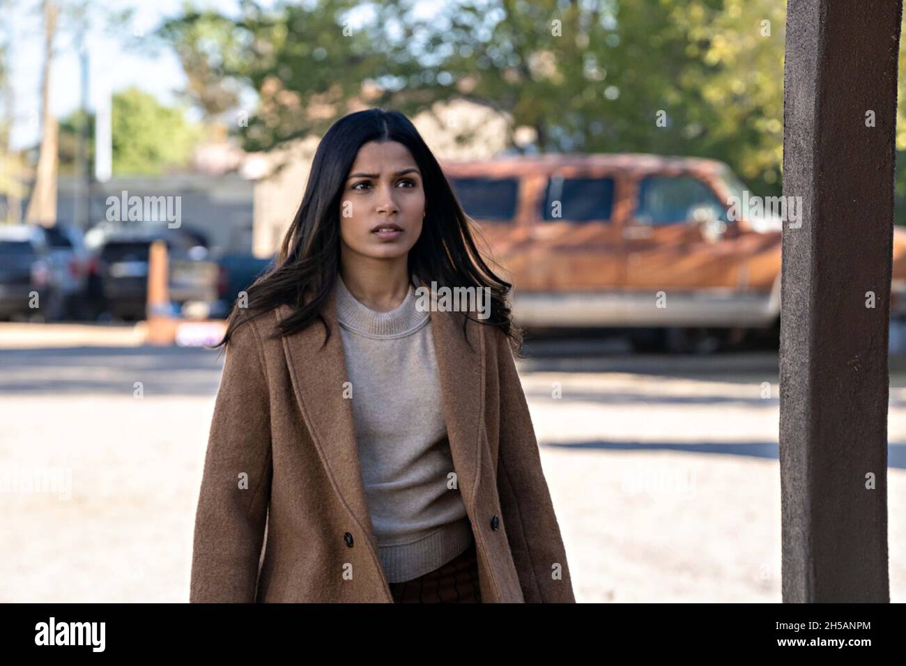 INTRUSION (2021) FREIDA PINTO ADAM SALKY (DIR) NETFLIX/MOVIESTORE ...