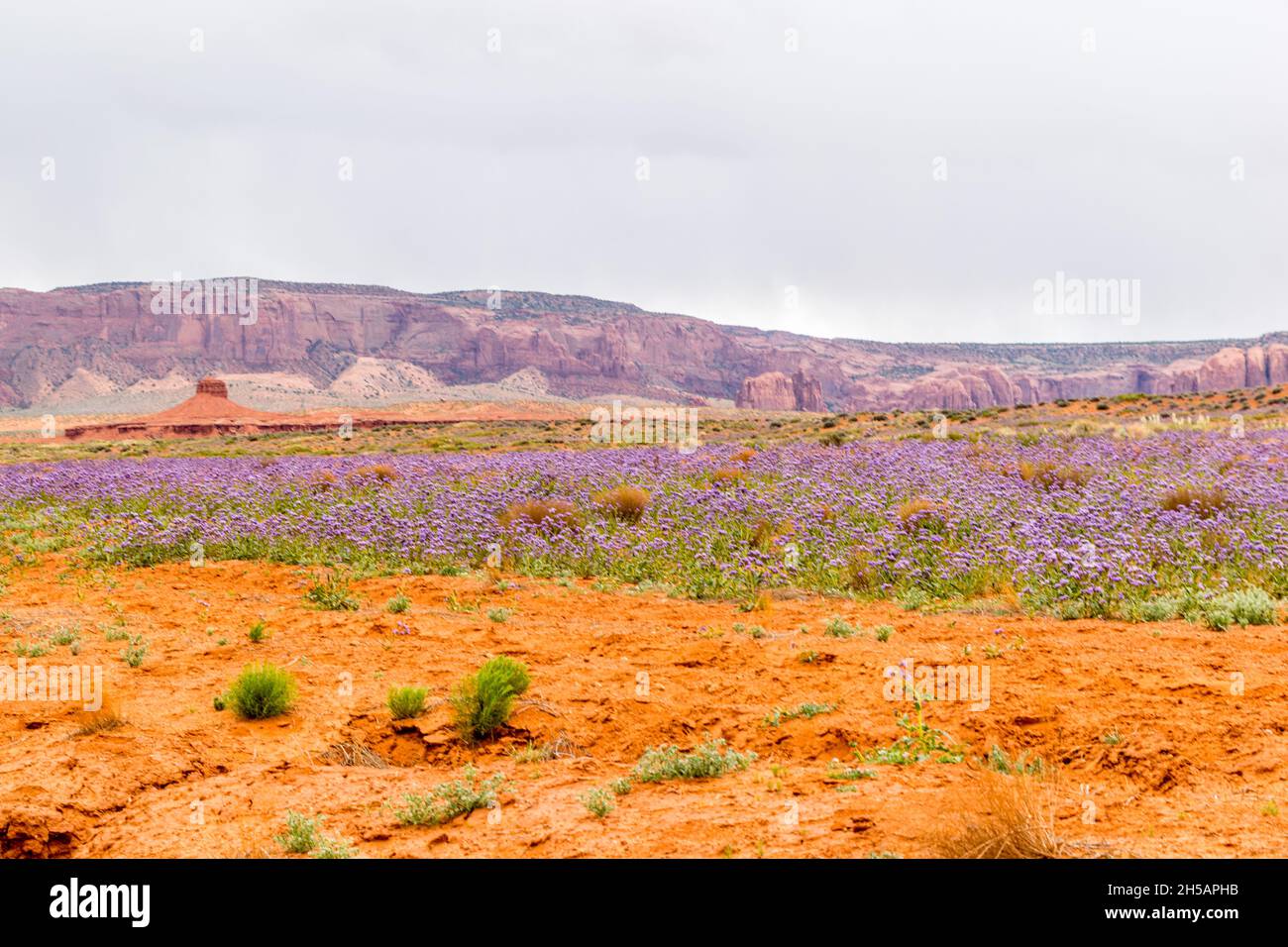 Arizona land hi-res stock photography and images - Alamy