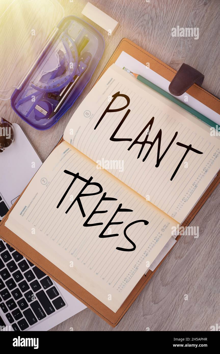 Text sign showing Plant Trees. Business overview process of planting a ...
