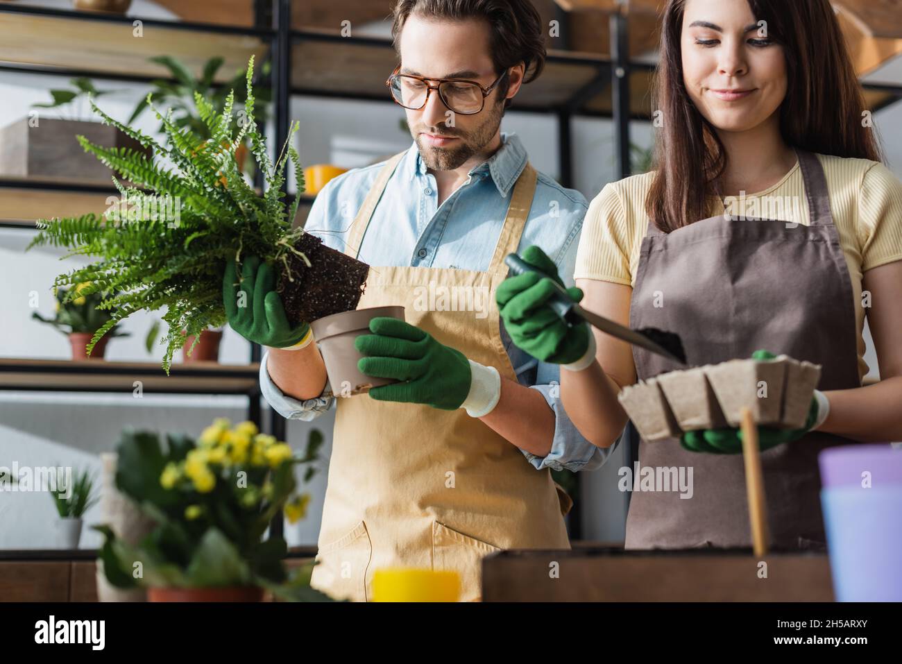 People transplanting young plants hi-res stock photography and images - Alamy